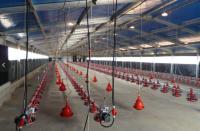 China Prefabricated Rigid Frame Poultry House with H Section Steel, Adjustable Vents, and Hot-Dip Galvanized Coating for sale