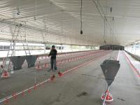China Rapid Installation Modular Poultry House with Corrosion Resistance for Modern Farming for sale