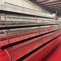 China Turnkey Layer Cage Systems with High-Density Efficiency Superior Automation Integration and Optimized Natural Ventilation for sale