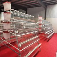 China Turnkey Layer Cage Systems with High-Density Efficiency Superior Automation Integration and Optimized Natural Ventilation for sale