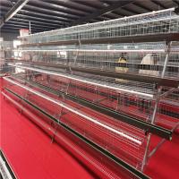 China Turnkey Layer Cage Systems with High-Density Efficiency Superior Automation Integration and Optimized Natural Ventilation for sale