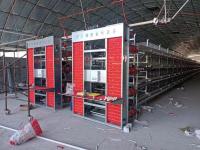 China Turnkey Layer Cage Systems with High-Density Efficiency Superior Automation Integration and Optimized Natural Ventilation for sale