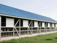 China High Space Utilization Mold-Proof Prefabricated Steel Structure Chicken Coop for sale