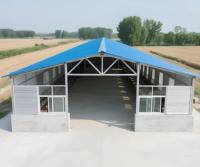 China High Space Utilization Mold-Proof Prefabricated Steel Structure Chicken Coop for sale