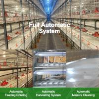China Customizable Weather Resistant Poultry House with Automated Harvest Broiler Equipment for Chicken Farm Building for sale