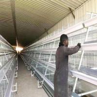 China Automatic Poultry Farming Equipment with Durable Construction Easy-Clean Design and Automatic Feeding System for sale