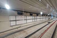 China New Condition Automatic Poultry House Equipment with Hot-Dip Galvanized Layer 275g/m³ Broiler Chicken Feeding Line and Large Diameter 37.5cm Ground Feeder Pan for sale