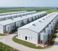 China Galvanized Steel Structure Poultry House with 30 Years Warranty, Bolt Connection, and Fast Installation for sale