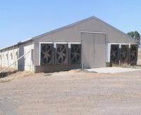 China Galvanized Steel Structure Poultry House with 30 Years Warranty, Bolt Connection, and Fast Installation for sale