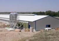 China Galvanized Steel Structure Poultry House with 30 Years Warranty, Bolt Connection, and Fast Installation for sale