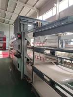 China 5000 Birds Capacity Hot-dip Galvanized Steel Poultry House With Climate Control System for sale