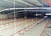 China Automatic Poultry Farming Equipment with Durable Construction, Easy-Clean Design and Integrated Feeding System for Large-Scale Farms for sale
