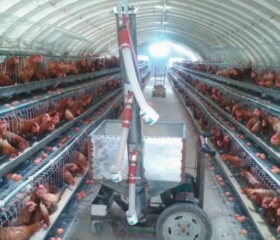 China Automatic Hot Galvanized Multi-Tier A-Frame Layer Chicken Battery Cage Poultry Farming Equipment with Nipple Drinkers for sale