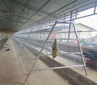 China Automatic Hot Galvanized Multi-Tier A-Frame Layer Chicken Battery Cage Poultry Farming Equipment with Nipple Drinkers for sale