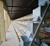 China Automatic Hot Galvanized Multi-Tier A-Frame Layer Chicken Battery Cage Poultry Farming Equipment with Nipple Drinkers for sale