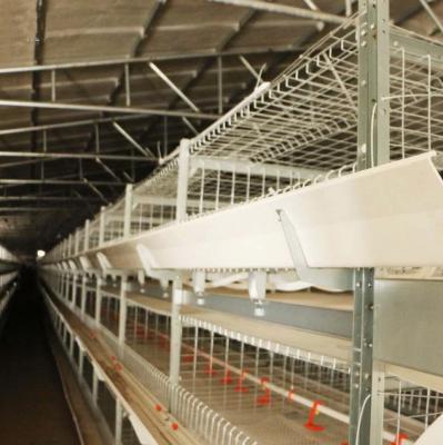 China Automatic H Type Layer Battery Cage with PP Plastic Slat Floor and Nipple Drinkers for Efficient Chicken Coop for sale
