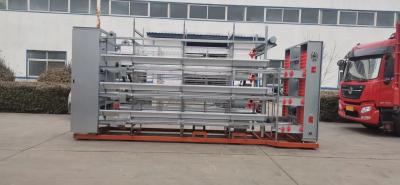 China Quick Assembly Hot-Dip Galvanized Steel Poultry House with Customizable Layout for sale