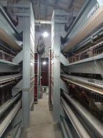 China Quick Assembly Hot-Dip Galvanized Steel Poultry House with Customizable Layout for sale