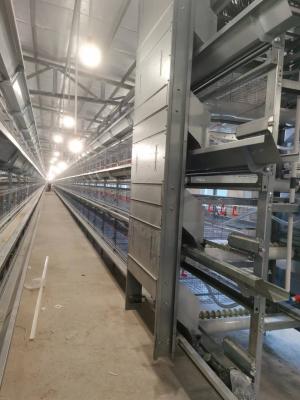 China Automated Poultry Farming Equipment with 12,000 Eggs per Hour Collection and Hot-Dip Galvanized Steel Layer Chicken Cage System for Automatic Manure Cleaning for sale