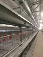 China Automated Poultry Farming Equipment with 12,000 Eggs per Hour Collection and Hot-Dip Galvanized Steel Layer Chicken Cage System for Automatic Manure Cleaning for sale