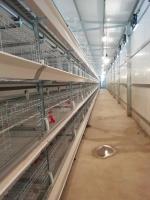 China Custom Large Cascaded Layer Cage with Automatic Egg Collection and Galvanized Steel Construction in Customizable Tiers for sale