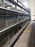 China Custom Large Cascaded Layer Cage with Automatic Egg Collection and Galvanized Steel Construction in Customizable Tiers for sale