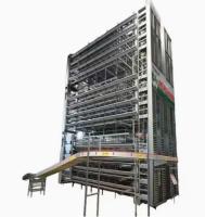 China Fully Automatic Hot-Dip Galvanized Steel Layer Chicken Cage with 15-20 Years Lifespan for Large-Scale Egg Collection for sale