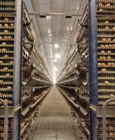 China Corrosion Resistant Poultry Farm Equipment with Automatic Egg Collection and Versatile Cage Design for sale
