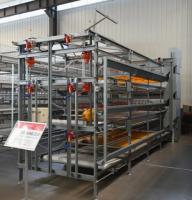 China Fast-Growth Strain Optimized Broiler Chicken Cage with High Strength Bolts Connection and Q235b Q355B Carbon Structural Steel for sale