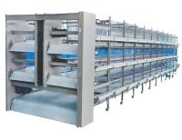 China Fully Automated Broiler Raising Equipment with Hot-Dip Galvanized Steel and Automatic Manure Cleaning System for sale