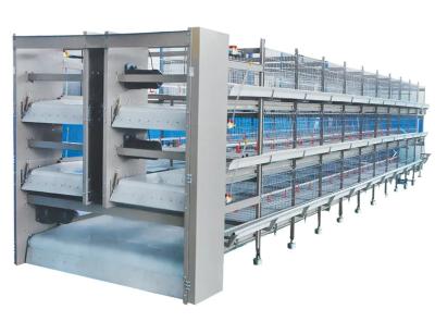 China Fully Automated Broiler Raising Equipment with Hot-Dip Galvanized Steel and Automatic Manure Cleaning System for sale