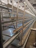 China Fully Automated Broiler Raising Equipment with Hot-Dip Galvanized Steel and Automatic Manure Cleaning System for sale