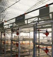 China Closed Broiler Farming House with Prefabricated Components Mesh Windows for Airflow and Carbon Structural Steel for sale