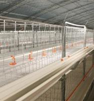 China Closed Broiler Farming House with Prefabricated Components Mesh Windows for Airflow and Carbon Structural Steel for sale