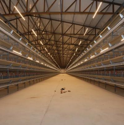 China Galvanized Steel Poultry House Equipment with Automatic Control and Customizable Dimensions for sale