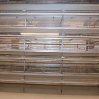 China Galvanized Steel Poultry House Equipment with Automatic Control and Customizable Dimensions for sale