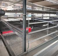 China Automated Intelligent Steel Structure Poultry Shed Cage Industrial Hen Chicken Coop for sale