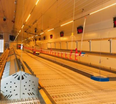 China Commercial Poultry Cage System Featuring Durable Plastic Feed Pan for sale