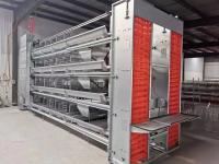China Automatic Feeding Corrosion Resistant Poultry Farm Equipment with Multi-tier Manure Removal Layer Chicken Cage for sale