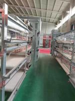 China Poultry Farm Equipment Layer Chicken Cage System with Anti-Corrosion Structure Modular Design and Precision Environmental Control for sale