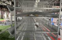 China Poultry Farm Equipment Layer Chicken Cage System with Anti-Corrosion Structure Modular Design and Precision Environmental Control for sale
