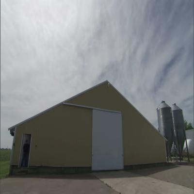 China Weather Resistant Steel Chicken Coop with Fast Installation and Modular Structure for Poultry Farming for sale