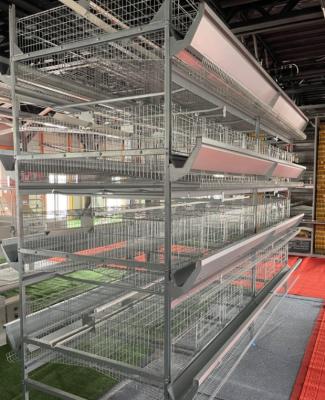 China 4 Tier H Type Fully Automatic Battery Layer Chicken Cage with Galvanized Steel Poultry Farming Equipment for sale