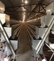 China Fully Automatic A Shape Layer Cage with Hot-DIP Galvanized Steel for 15-20 Broilers/Layer in 4-8 Tier Configuration for sale