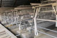 China Fully Automatic A Shape Layer Cage with Hot-DIP Galvanized Steel for 15-20 Broilers/Layer in 4-8 Tier Configuration for sale