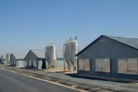 China High Efficiency Easy Setup Poultry Farming Equipment with Hot Dip Galvanized Steel Automatic Poultry Cage System for sale