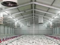 China High Efficiency Easy Setup Poultry Farming Equipment with Hot Dip Galvanized Steel Automatic Poultry Cage System for sale