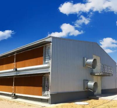 China Hot-dip Galvanized Steel Poultry House with 5000 Birds Capacity and Modular Easy Assembly for Chicken Farm Building for sale