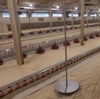 China High Efficiency Easy Setup Poultry Farming Equipment with Hot Dip Galvanized Steel Automatic Poultry Cage System for sale