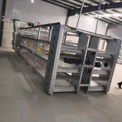 China Hot-Dip Galvanized Steel Automatic Chicken Cage with 15-20 Year Lifespan and Automated Feeding System for sale